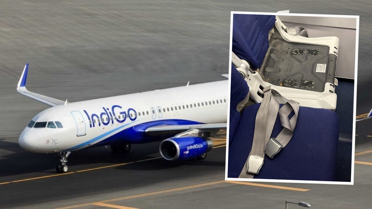 IndiGo की फ्लाइट में यात्री का सीट कुशन गायब, फोटो वायरल होते ही ...