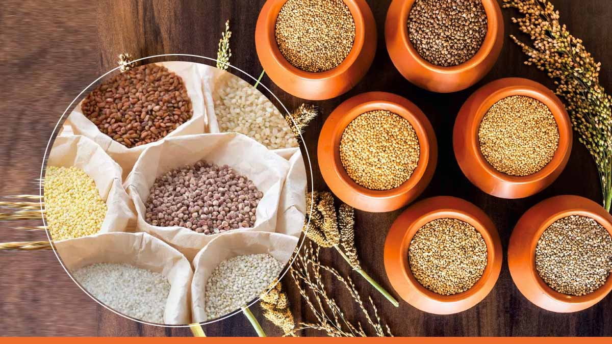 Millets: समृद्धि और स्वास्थ्य का राज, भारत का मोटा अनाज | Millets: The ...