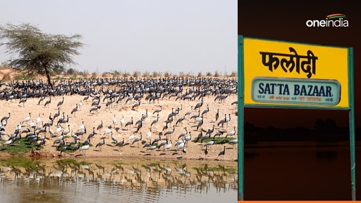 Phalodi Satta Bazaar: 'सॉल्ट सिटी' व फलों की मंडी से फलोदी सट्टा बाजार ...