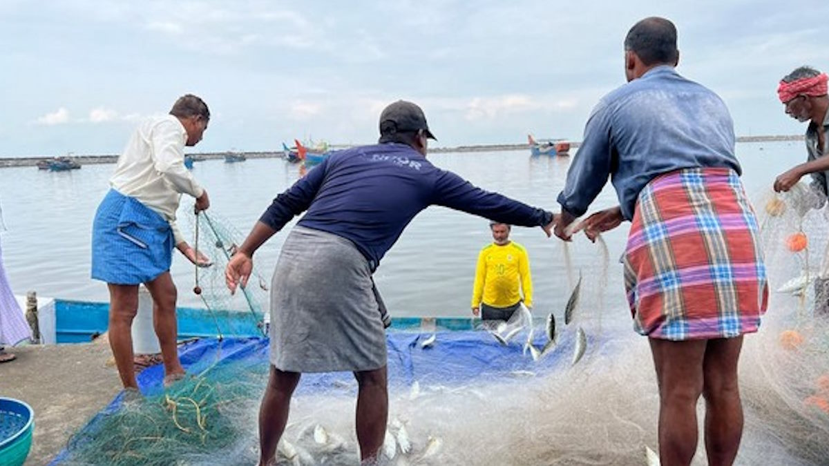 मत्स्य पालन सेक्टर होगा आधुनिक, मछुआरों के कौशल विकास पर जोर, मोदी ...