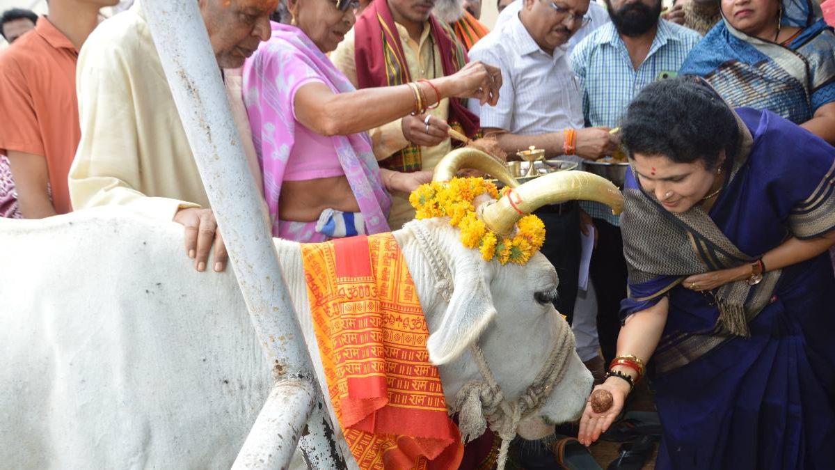 गौ-शाला में मंत्री कृष्णा गौर ने किया गौ-माता का पूजन,कही यह खास बात ...