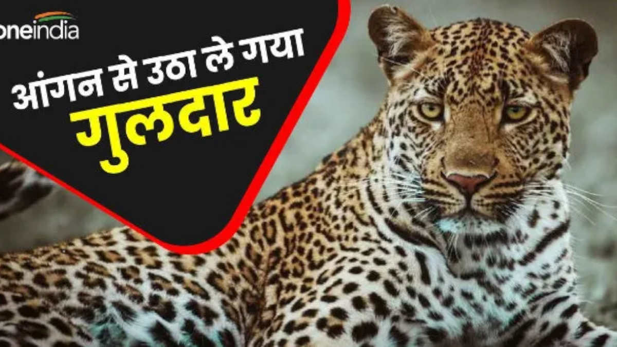 Tehri news: मां गई थी सावन में मंदिर में जल चढ़ाने, बेटी को आंगन से ...